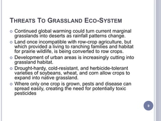 Grassland Ecosystem | PPTX