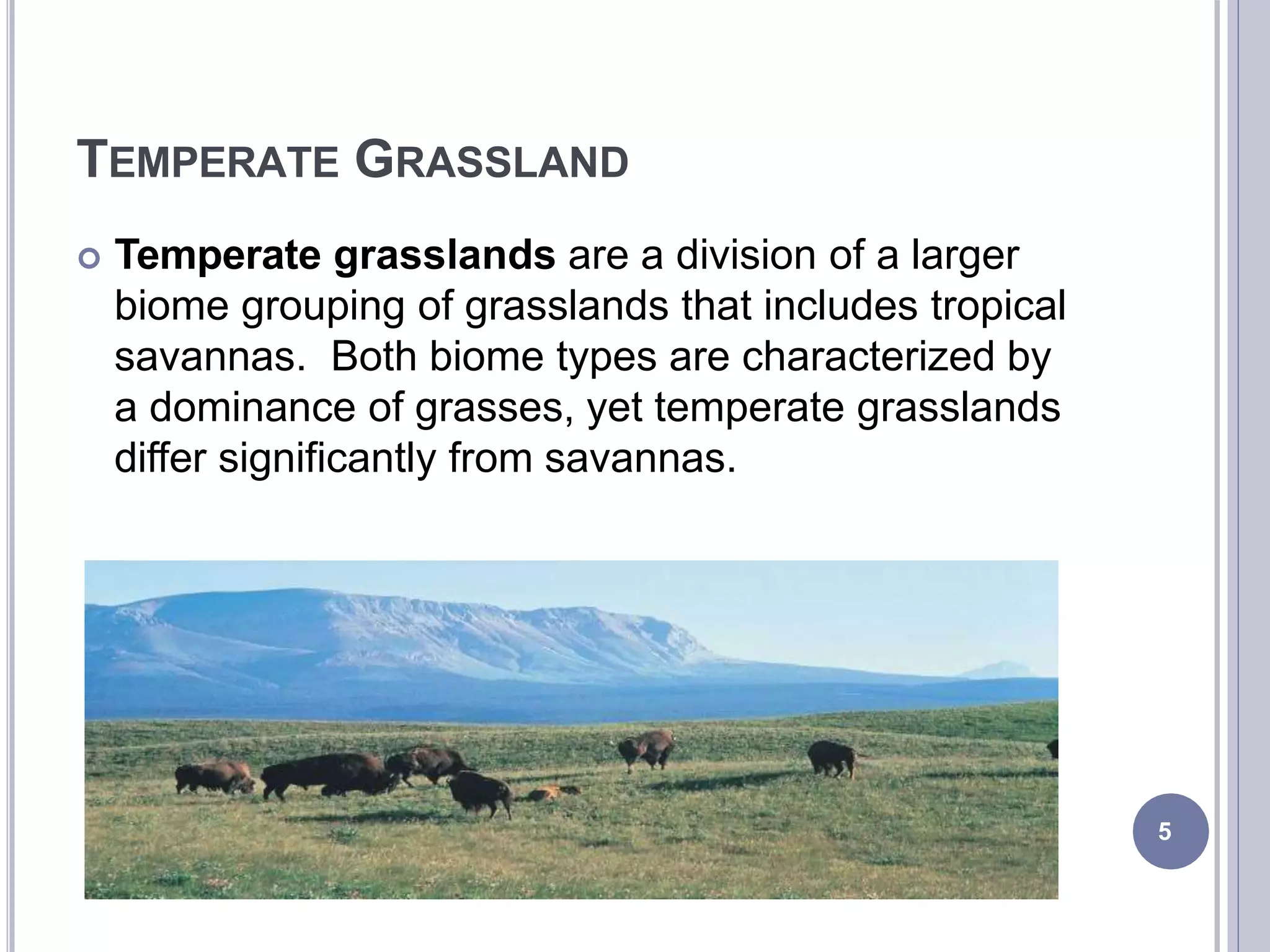 intro to grassland .pptx | Geography | Science