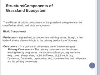 intro to grassland .pptx | Geography | Science