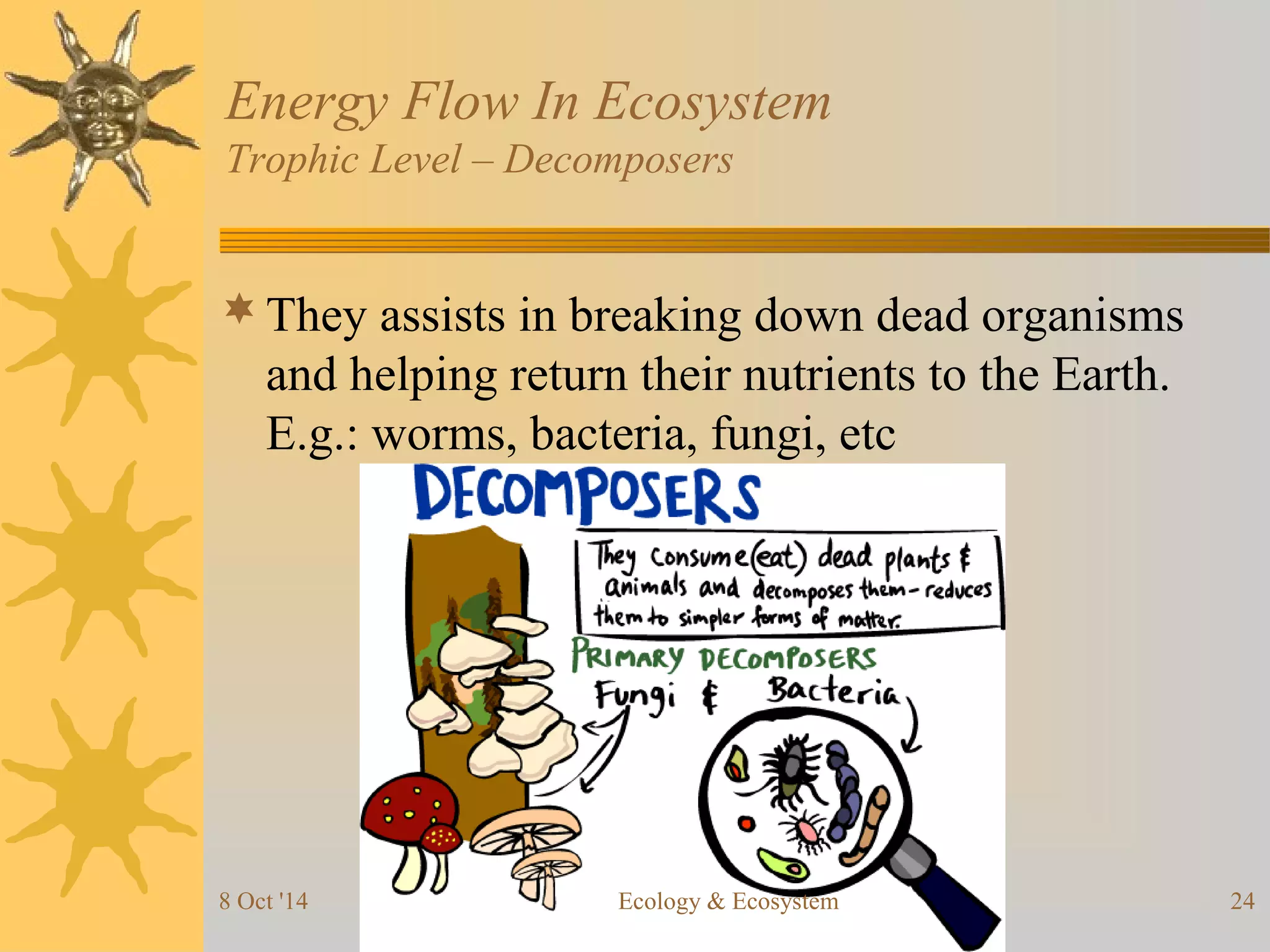 Ecology and Ecosystem | PPT