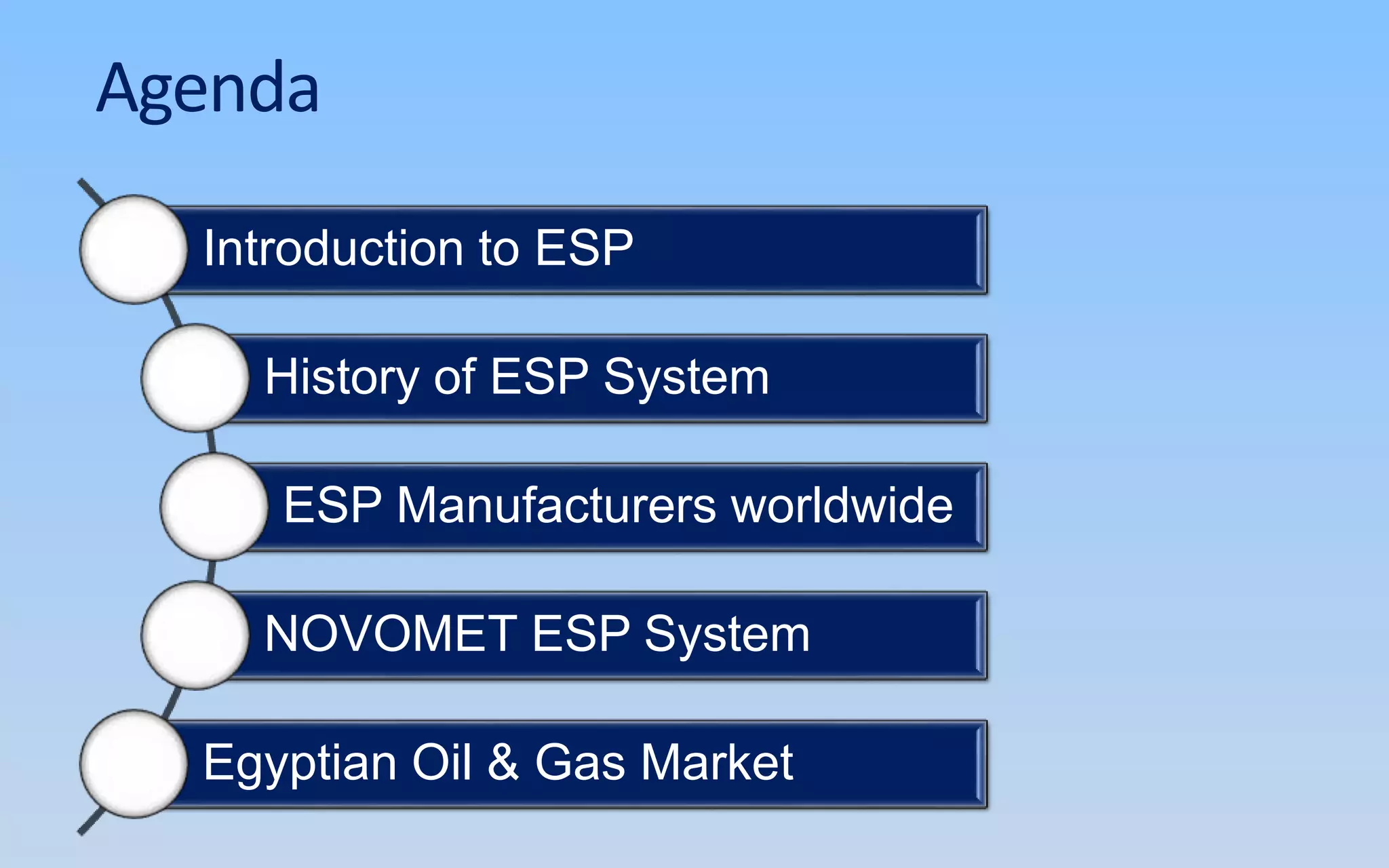Esp systems Presentation | PPSX