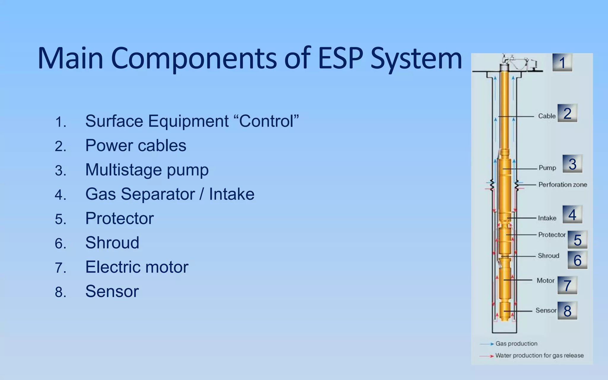 Esp systems Presentation | PPSX