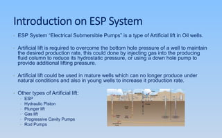 Esp systems Presentation | PPSX