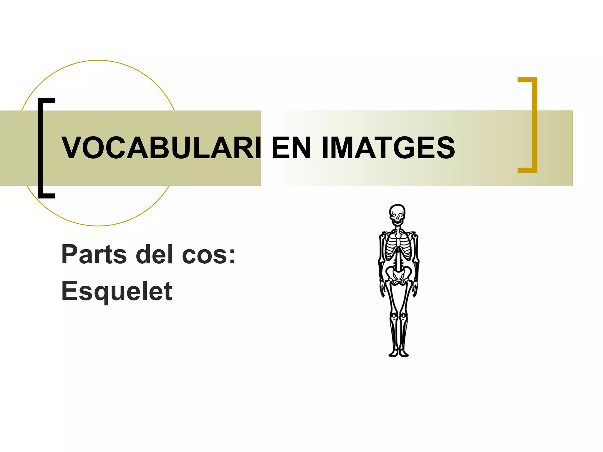 L'Esquelet | PPT
