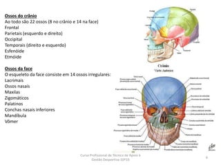 Esqueleto Axial Powerpoint (1).pptx