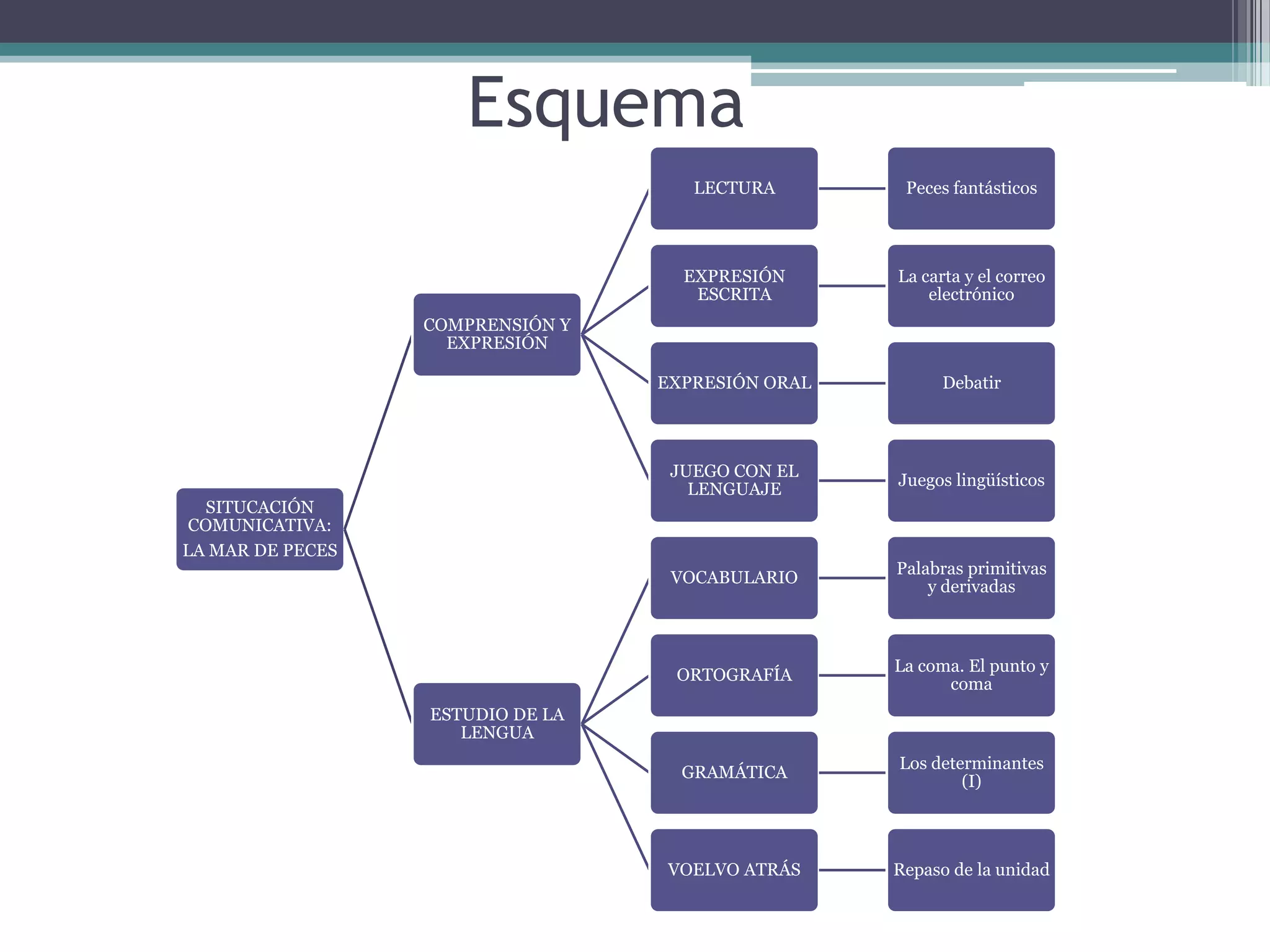 Tema 6. La mar de peces. Esquema | PPTX