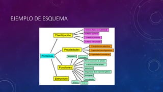 Esquema.pptx----------------------------- | PPTX