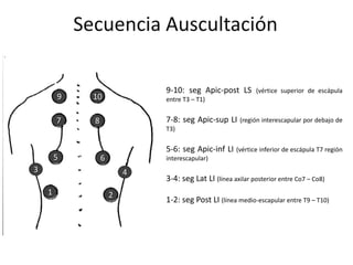 Esquema Auscultación[1].pdf