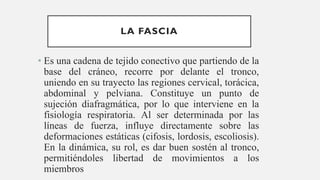 esquema de brodie ,indicsciones hy usos en la vida diaria | PDF