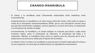 esquema de brodie ,indicsciones hy usos en la vida diaria | PDF