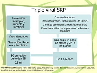 Esquema básico de inmunizaciones en méxico | PPTX