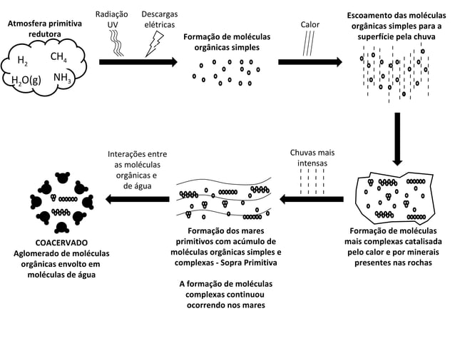 Esquema coacervados | PPT