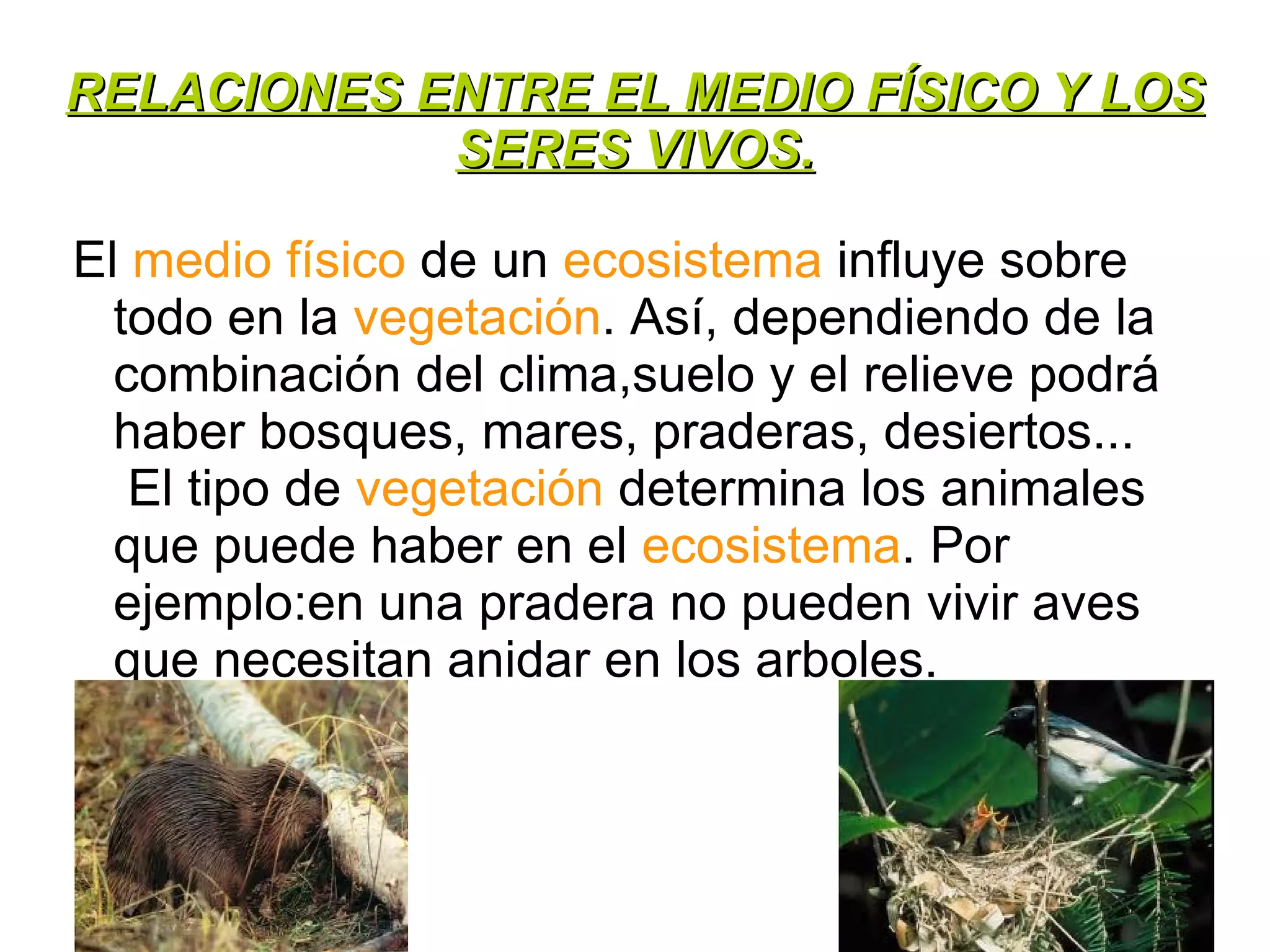 Esquema ecosistemas | PPT