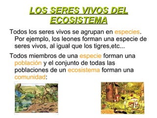 Esquema ecosistemas | PPT