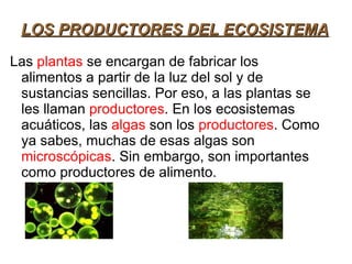 Esquema ecosistemas | PPT