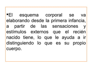 Esquema corporal por mayra espinosa | PPT