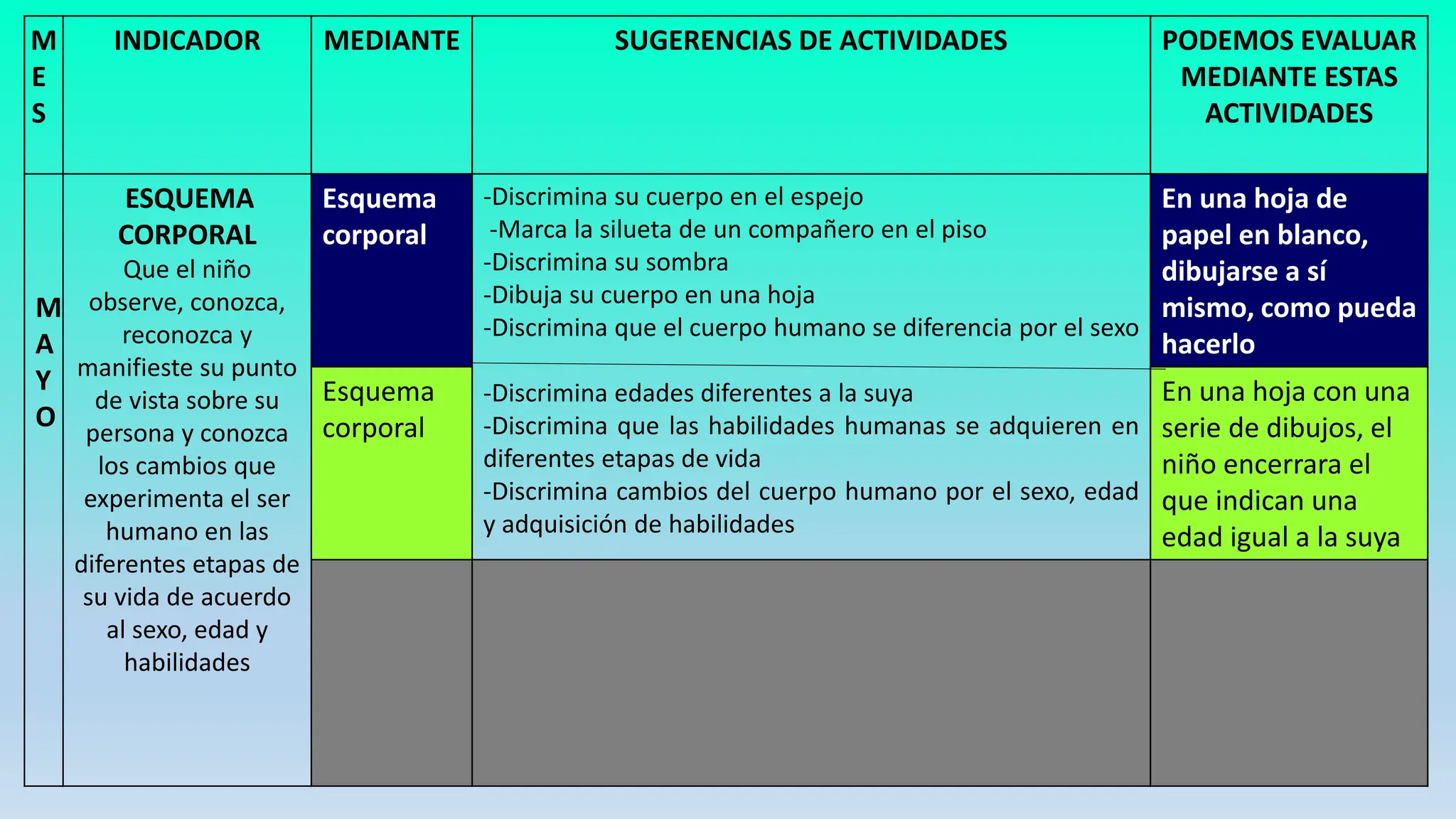 esquema corporal.pptx