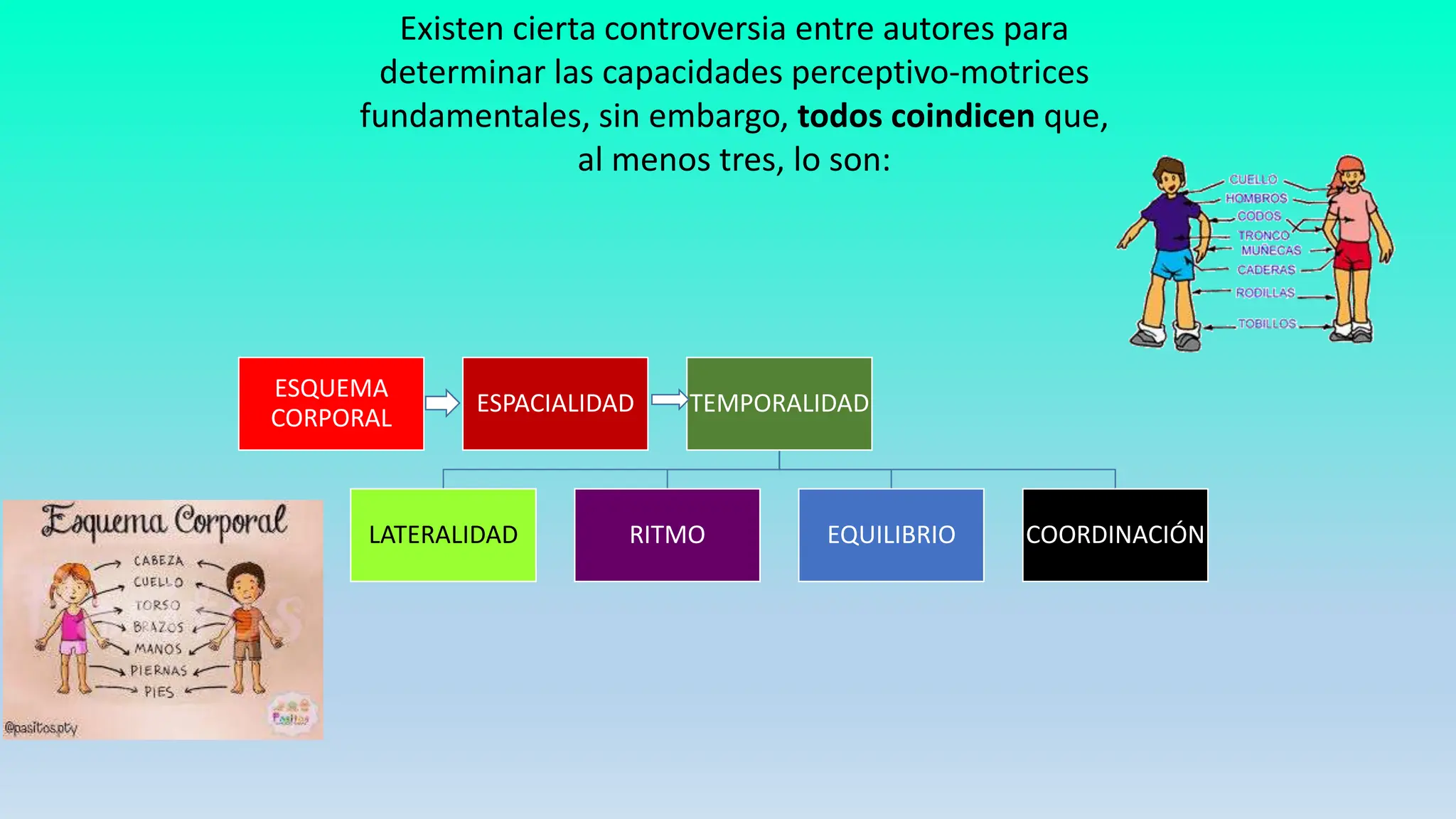 esquema corporal.pptx