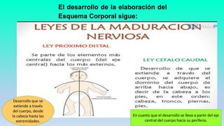 esquema corporal.pptx