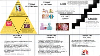 Esquema de Leavell y Clark..pptx