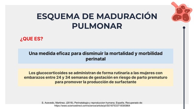 Esquema de maduración pulmonar y neuroprotección fetal.pptx