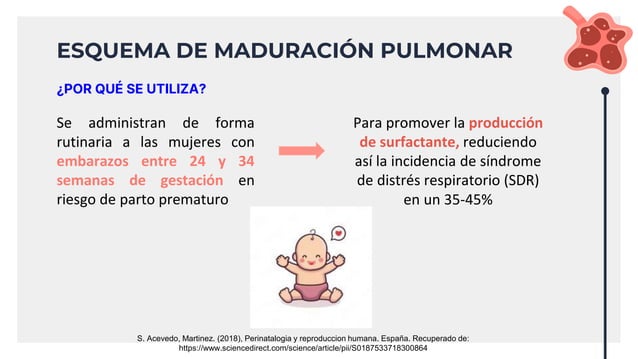 Esquema de maduración pulmonar y neuroprotección fetal.pptx
