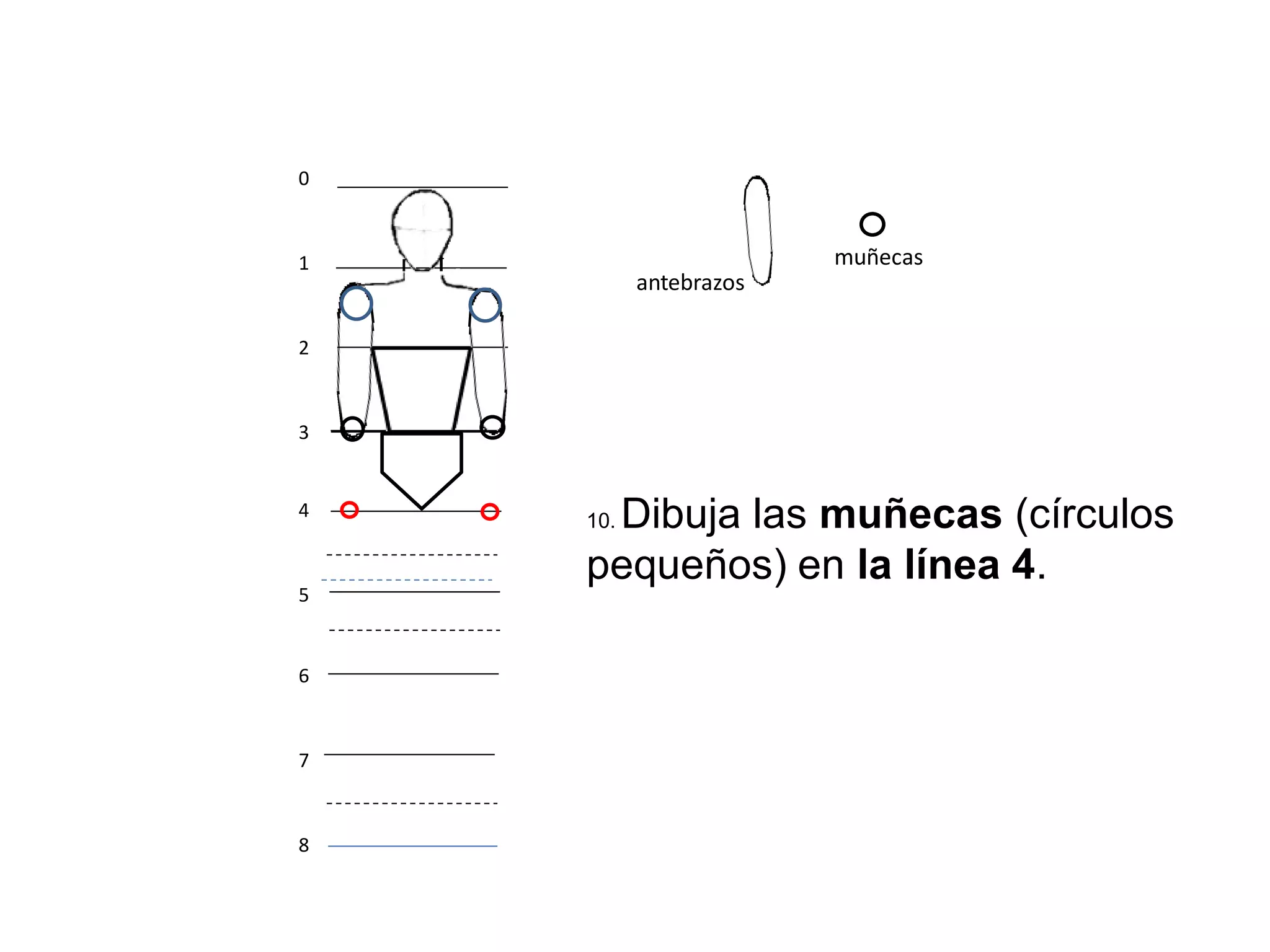 Esquema De Proporciones Del Cuerpo Pdf Drawing And Sketching Arts