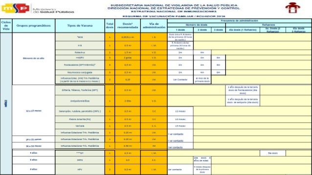 Esquema De Vacunacion Msp 2019 Mayhm001