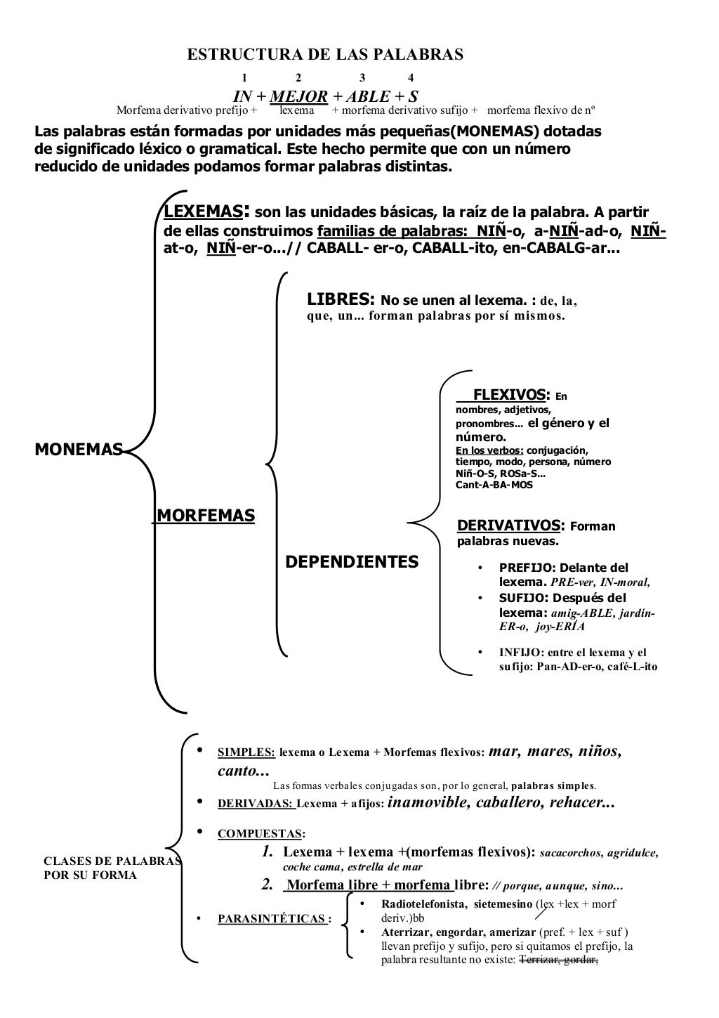 Blog de Lengua de 1º de eso: Morfología:estructura de las palabras y ...