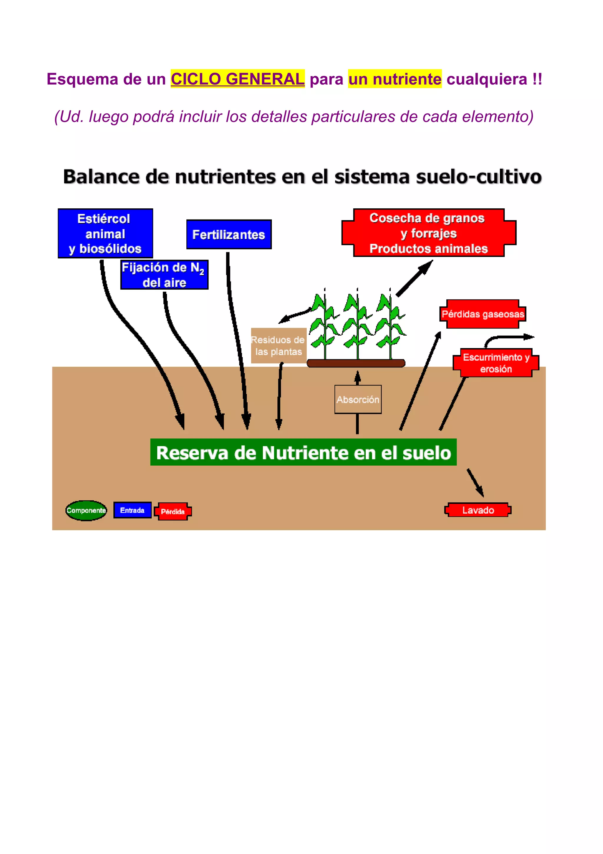 Esquema General | PDF