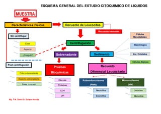 Esquema general del estudio citoquimico de liquidos | DOCX
