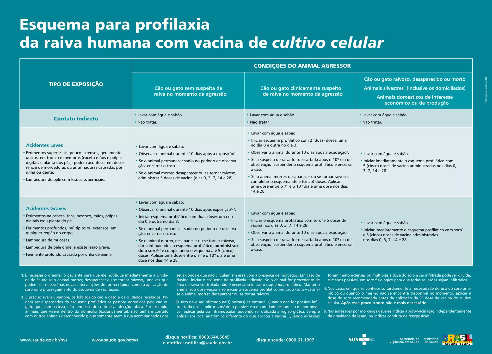 Esquema profilaxia raiva humana | PDF