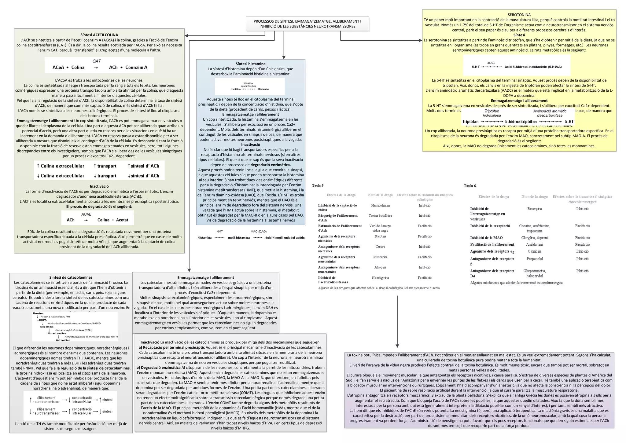 Esquema sinapsis, neurotransmissors | PDF