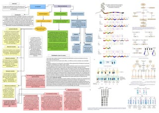 Esquemas modulo 2 con curtis bases geneticas | PDF