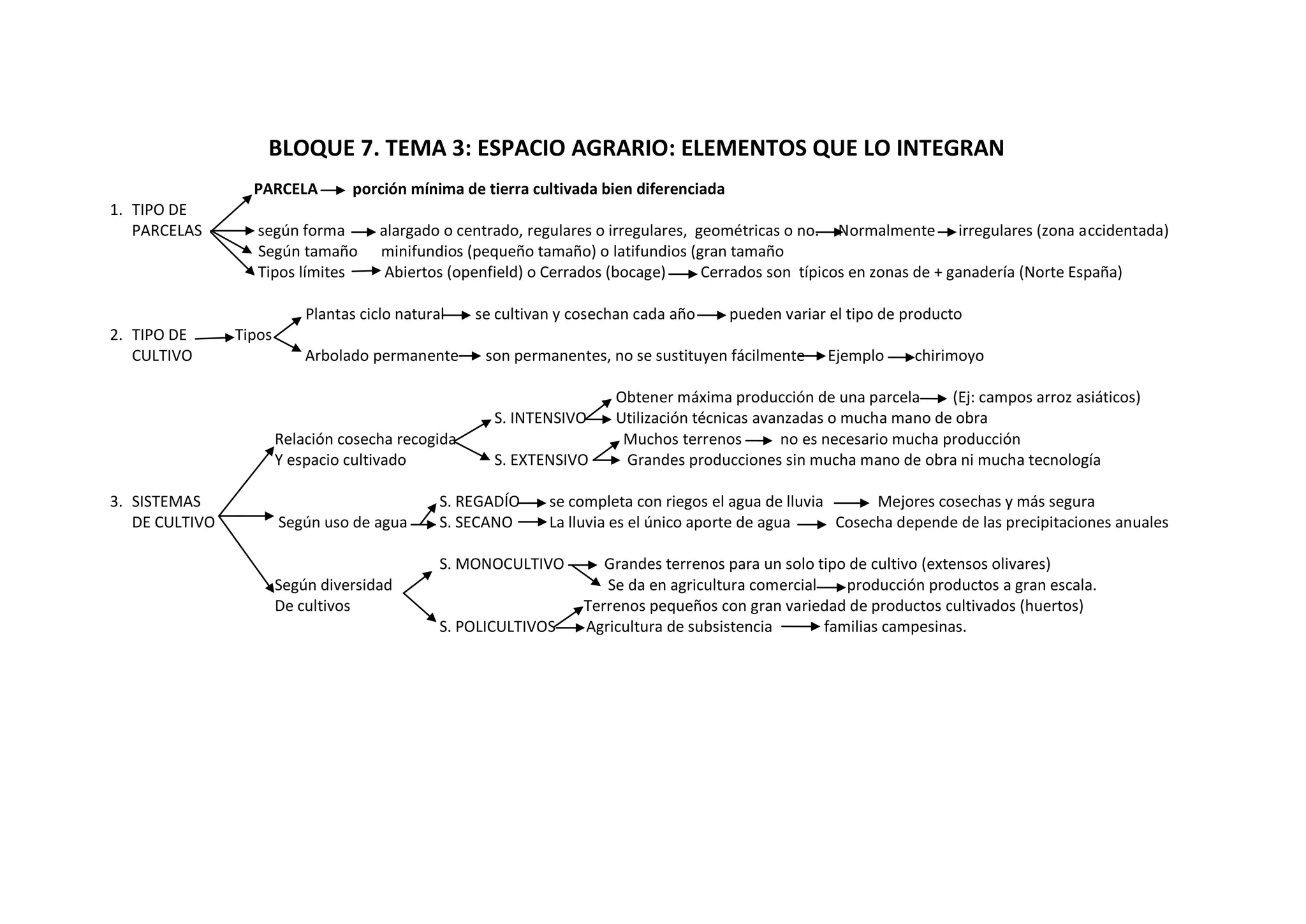 Esquemas sociales esa ceper maria zambrano | PPT