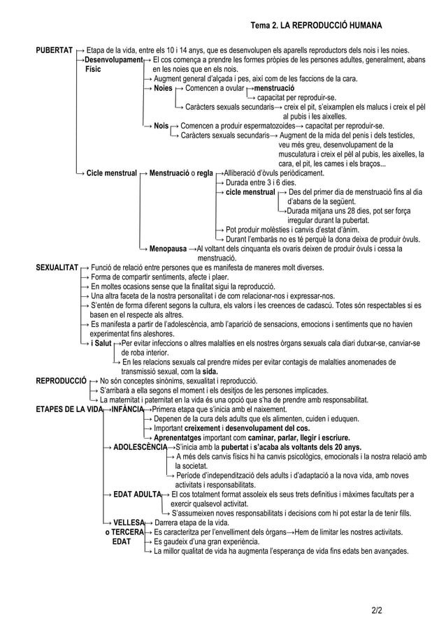 Esquema tema 2 dificil | PDF