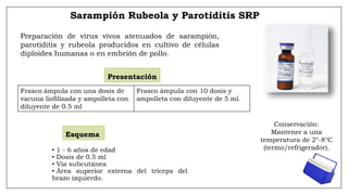 Esquema básico de Vacunación | PPTX