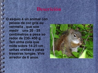 Esquio presentacion | ODP