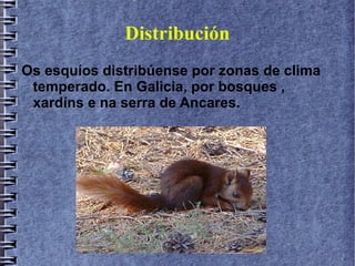 Esquio presentacion | ODP