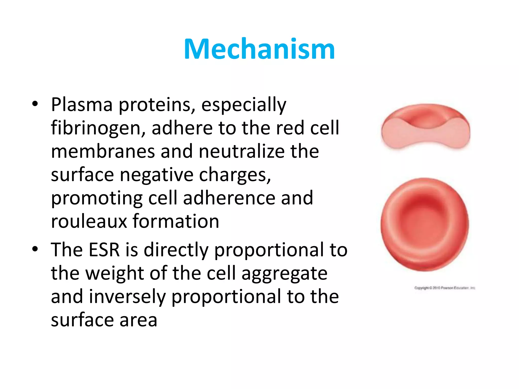 Erythrocyte Sedimentation Rate | PPTX