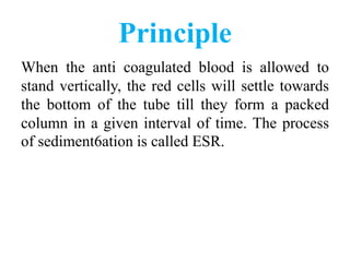 Erythrocyte Sedimentation Rate | PPTX