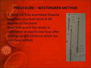 ESR.pptx | Blood Disorders | Diseases and Conditions