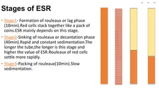 erythrocyte sedimentation rate(ESR) .pptx
