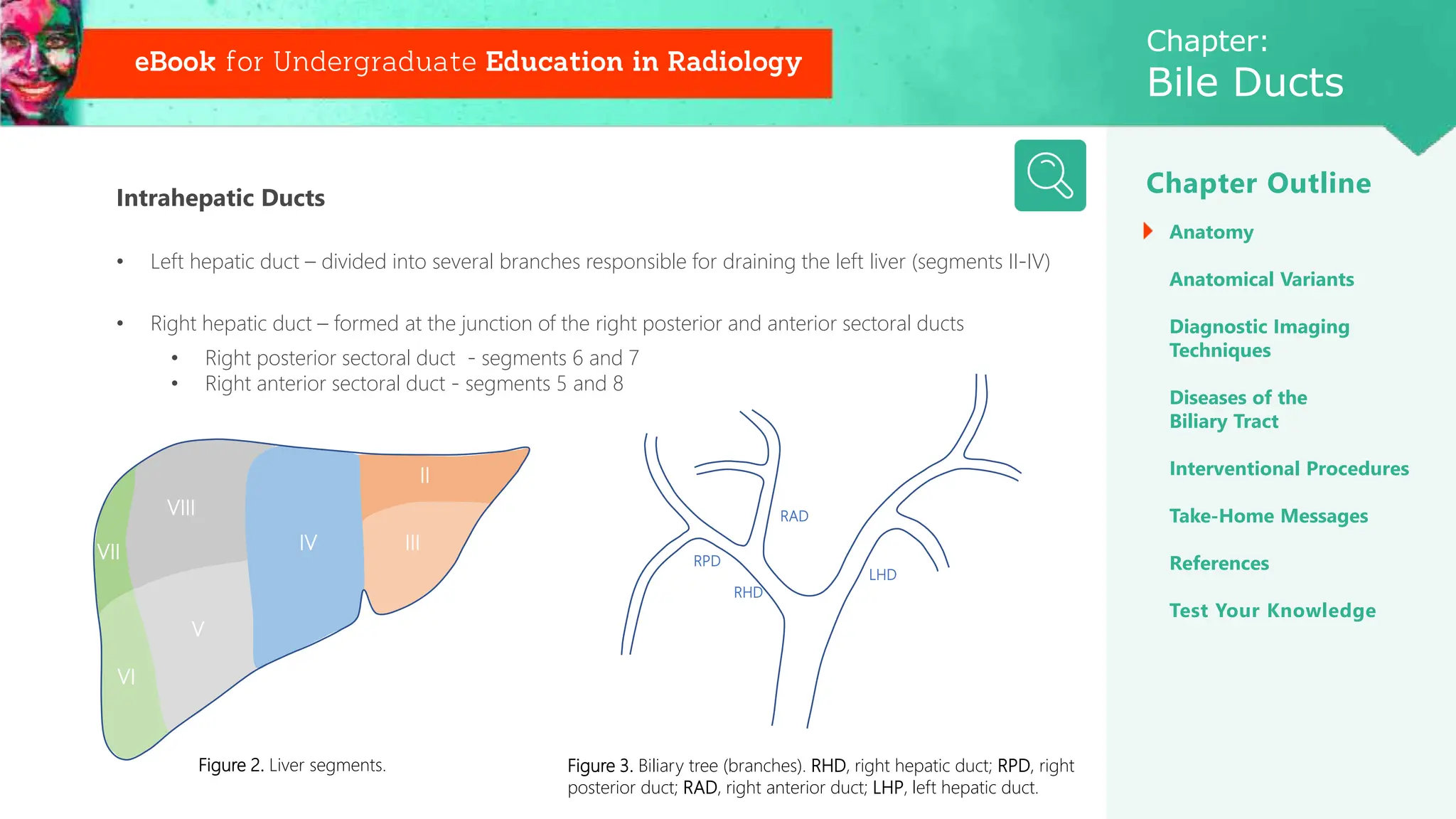 ESR-eBook-for-Undergraduate-Education-in-Radiology-–-08b-Bile-Ducts ...