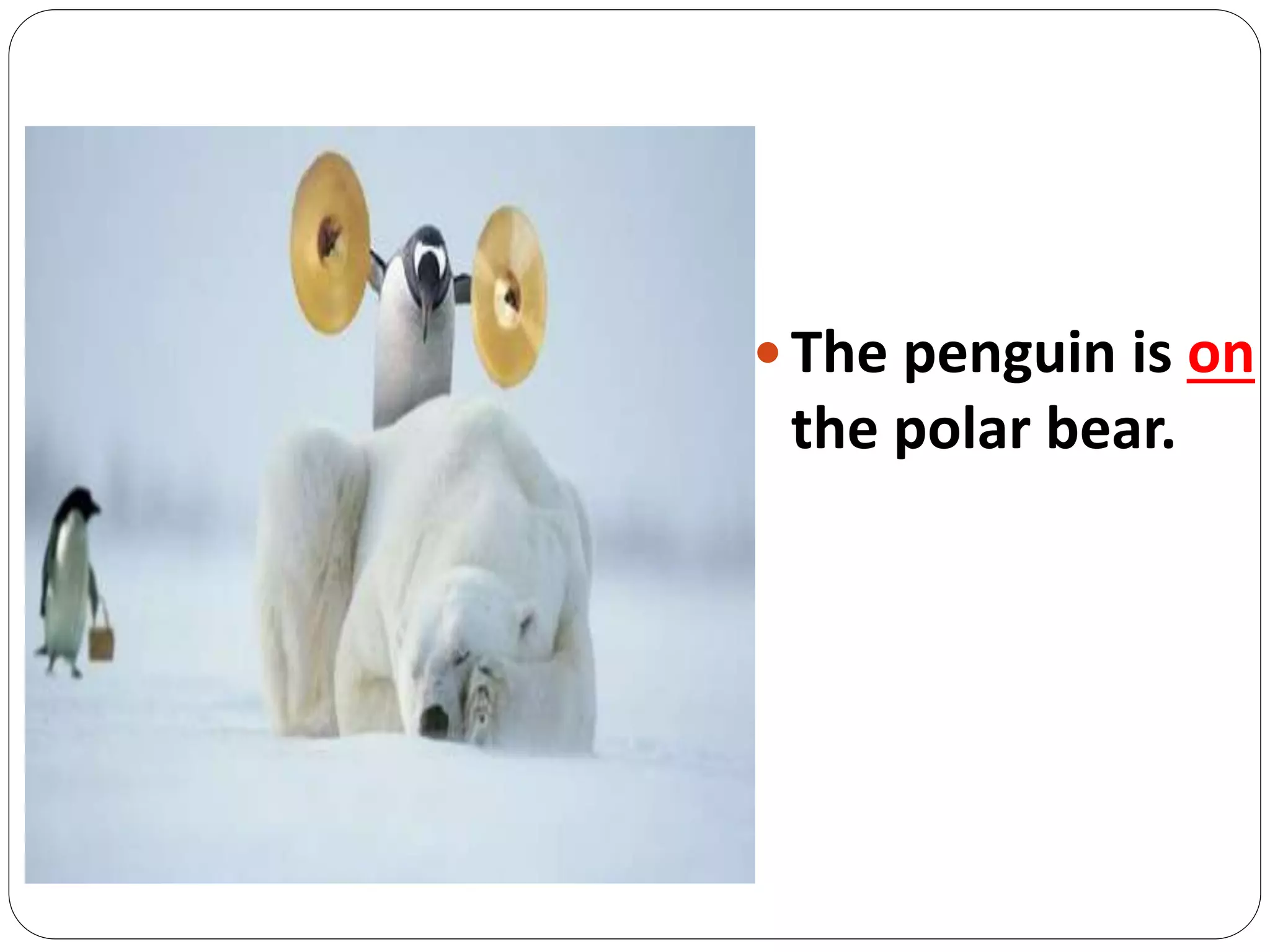 prepositions of place | PPT