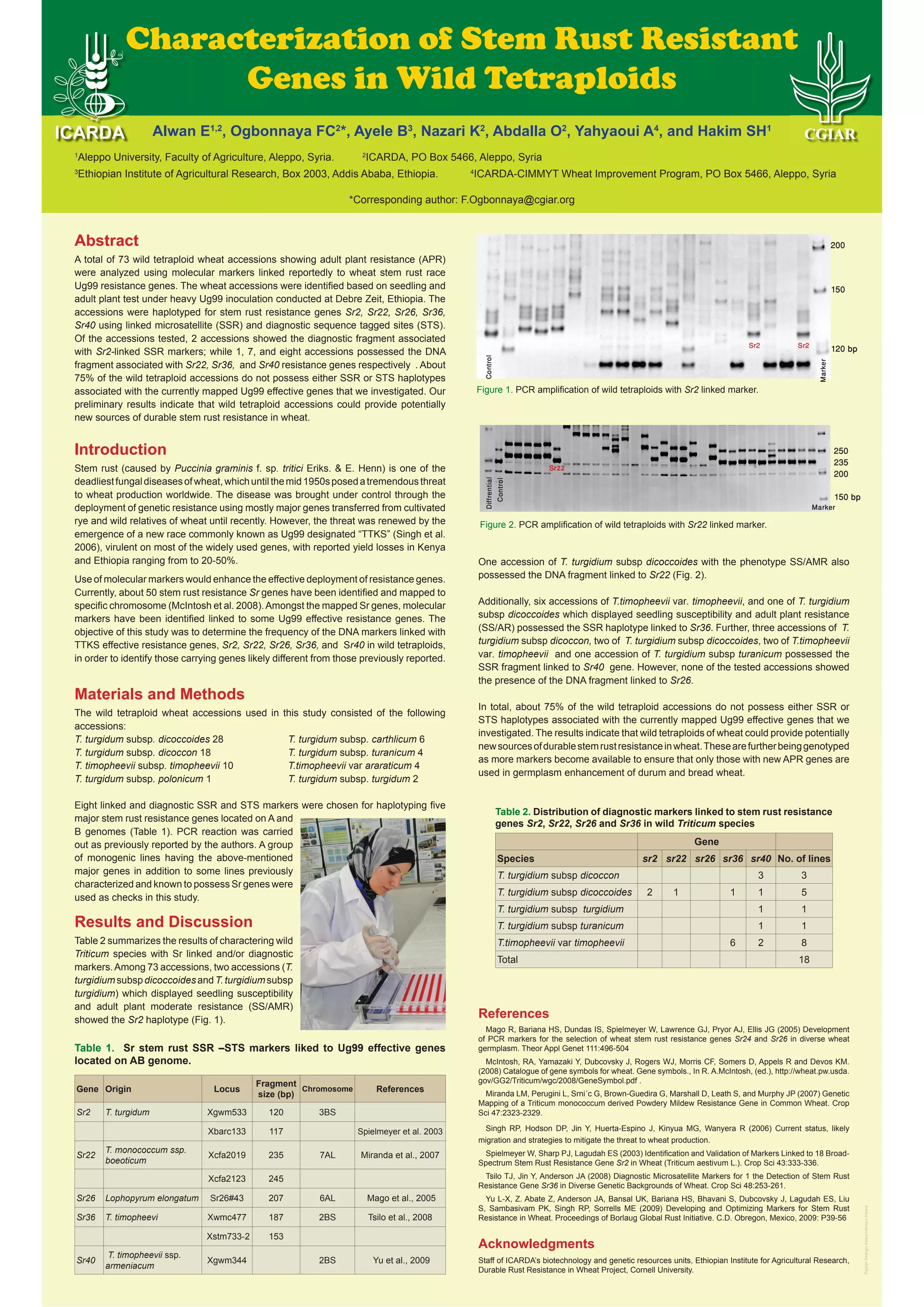 8th Internation Wheat Conference E.Alwan poster | PDF