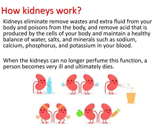 End stage of renal disease (ESRD) | PPTX