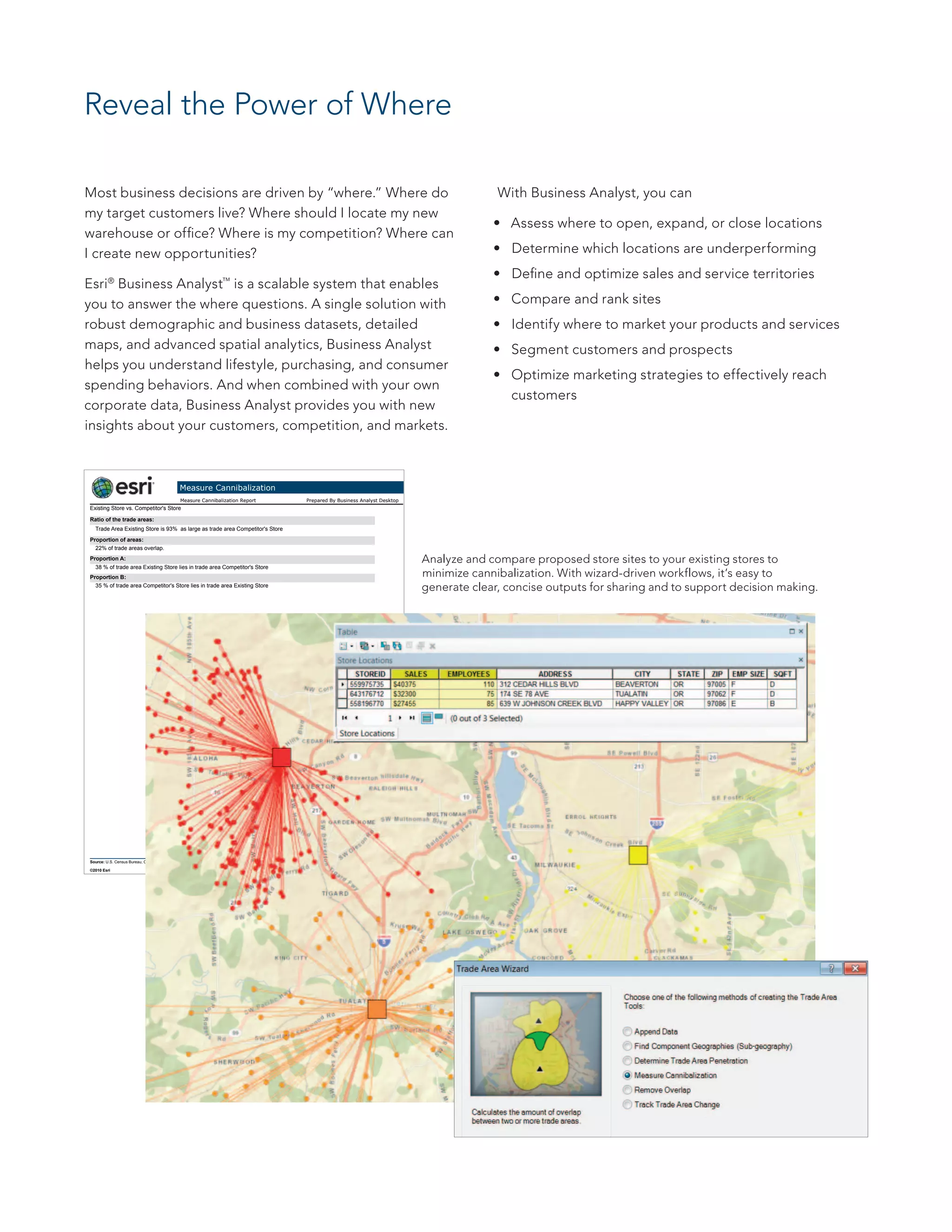 Esri Business Analyst | PDF