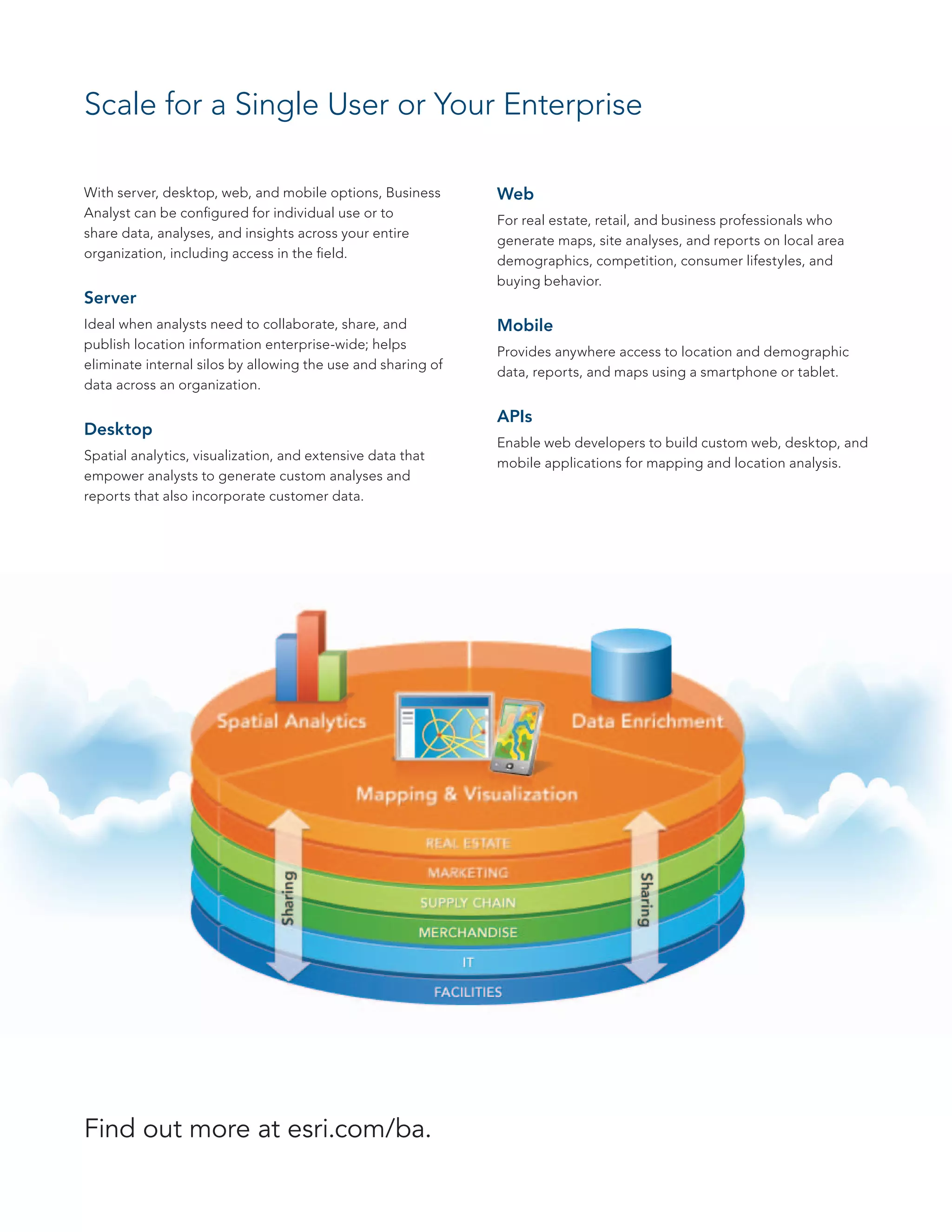 Esri Business Analyst | PDF