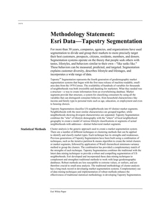 Esri Data Tapestry Segmentation Methodology Statement | PDF